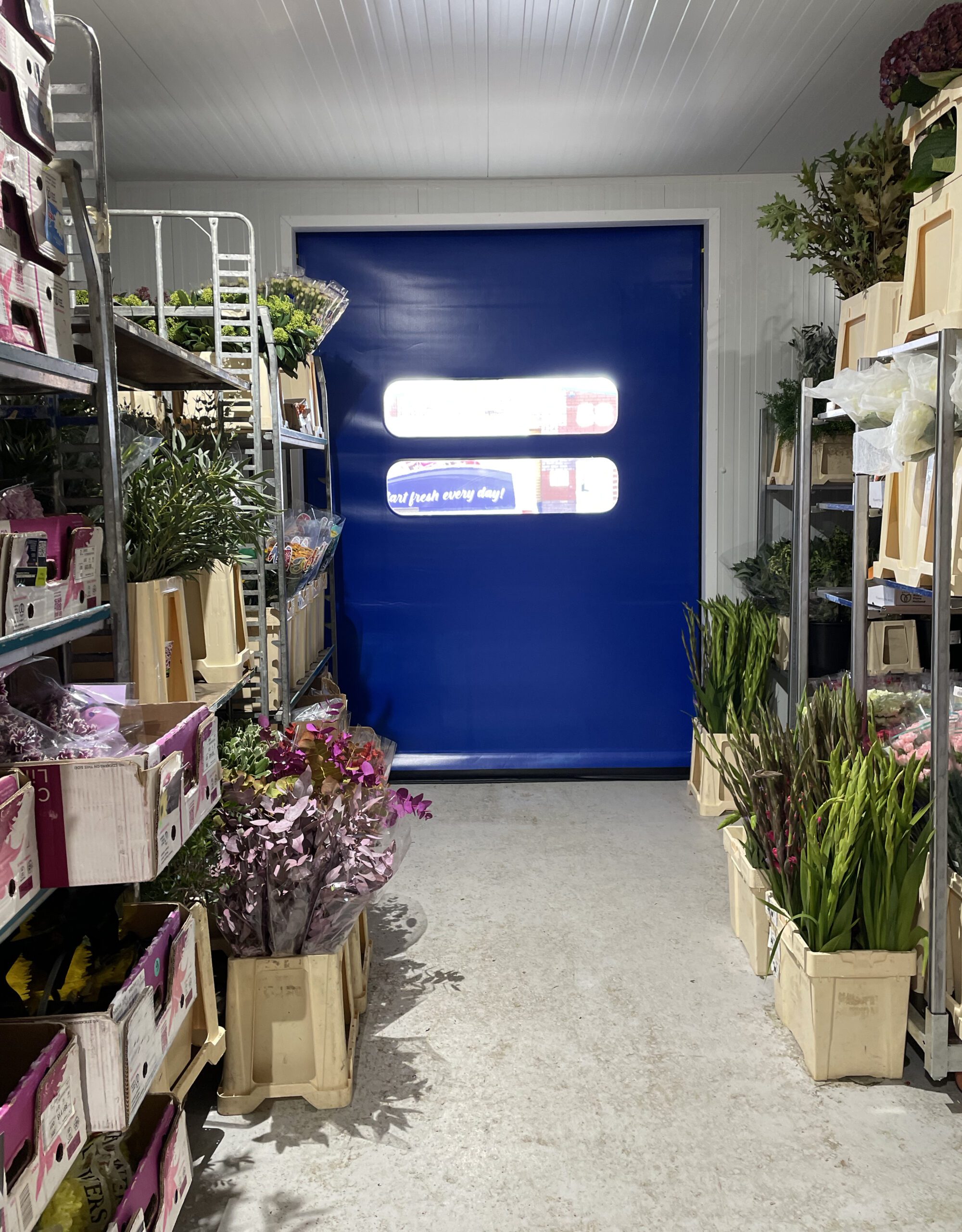 Bespoke Chiller Cold Room for Flower Storage - MTCSS